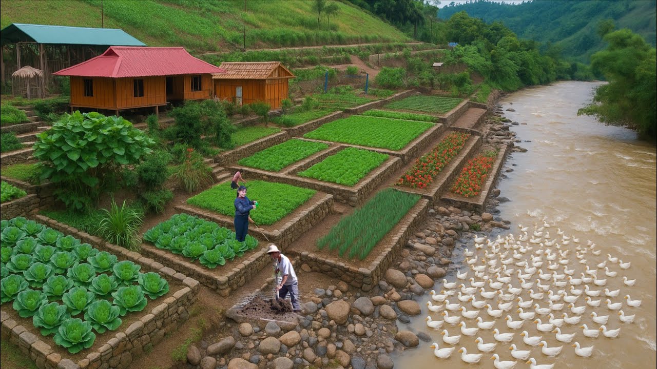 Starting From Zero: Rebuilding Our Off-Grid Farm With Youthful ...