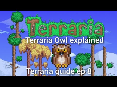 terraria owl explained, terraria guide ep 8. - YouTube