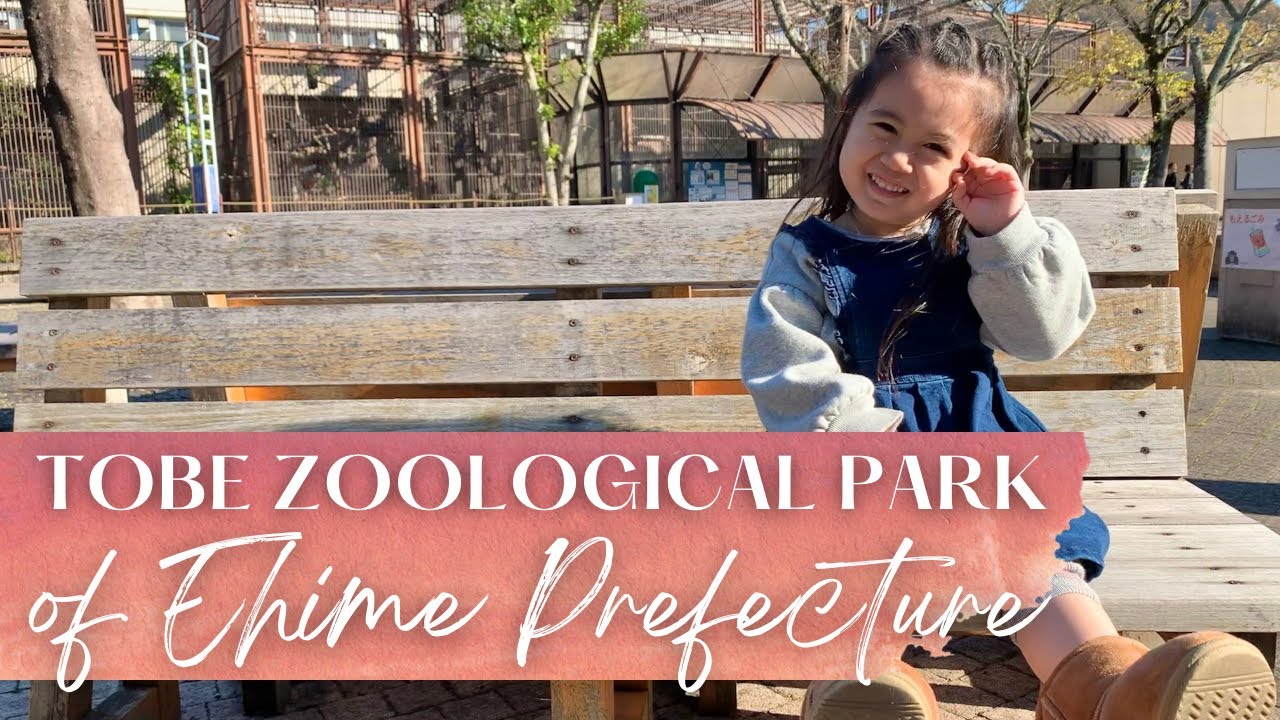 TOBE ZOOLOGICAL PARK OF EHIME PREFECTURE | Vlog # 94 - YouTube