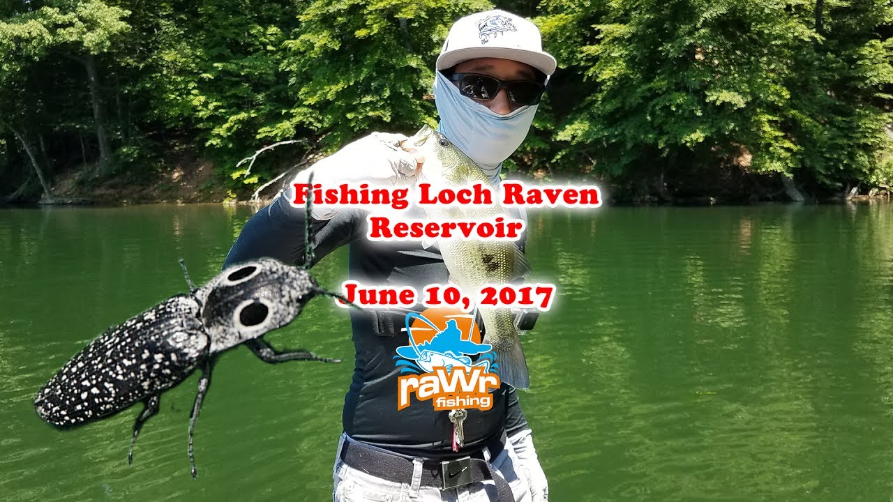 Loch Raven Reservoir Fishing Free Fishing Day June 10th 2017 - YouTube