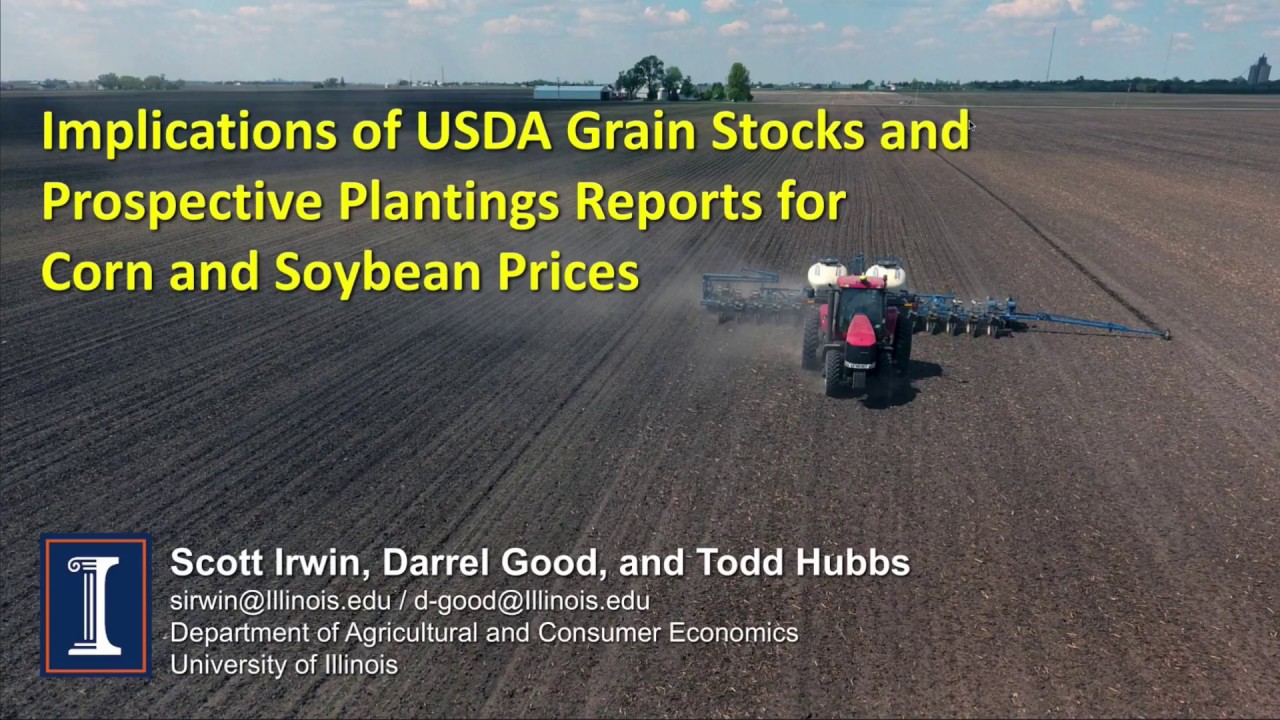 Implications of USDA Grain Stocks and Prospective Plantings Reports for ...