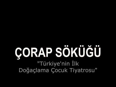 ÇORAP SÖKÜĞÜ