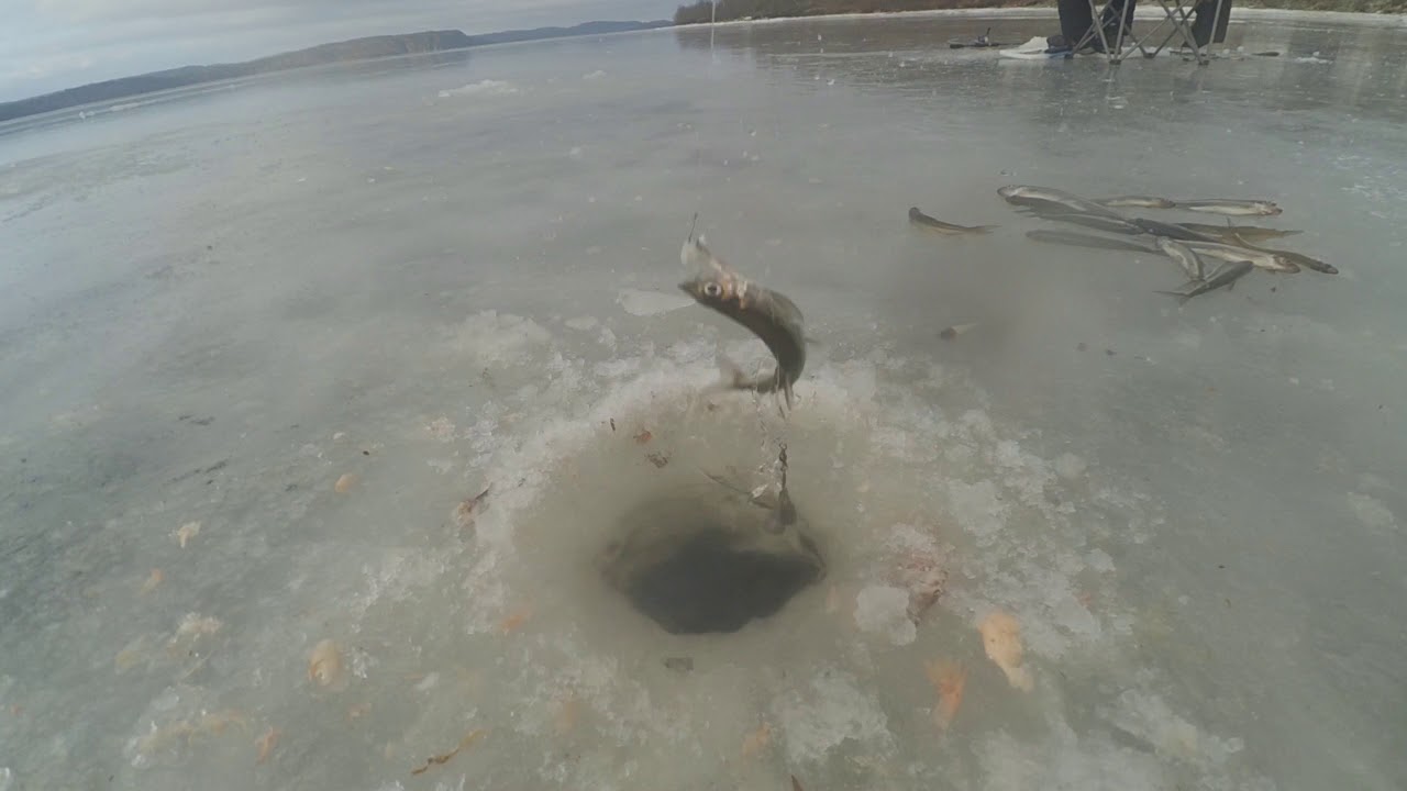 Ice Fishing Renforth Saint John NB - YouTube