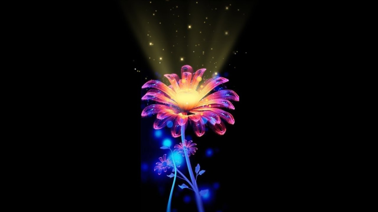 Neon flower effect black screen video | Colorful flower black screen ...