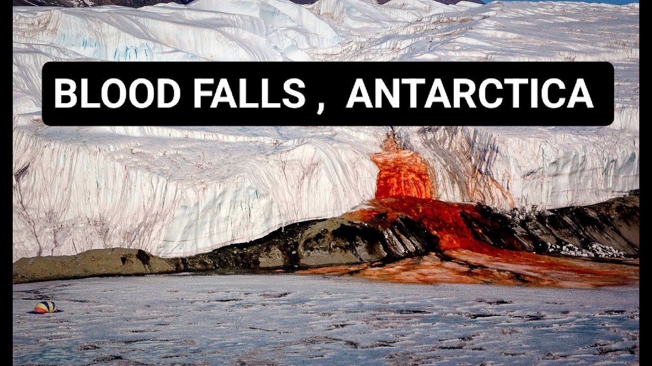 Blood Falls of Antarctica: A Chilling Natural Phenomenon - YouTube