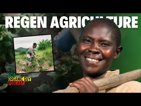 Why Should We Adopt Organic Farming
