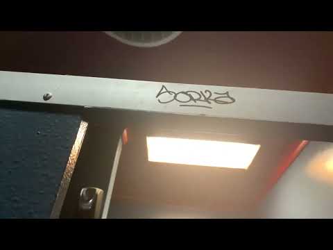 SORKA - I OWN THIS STALL