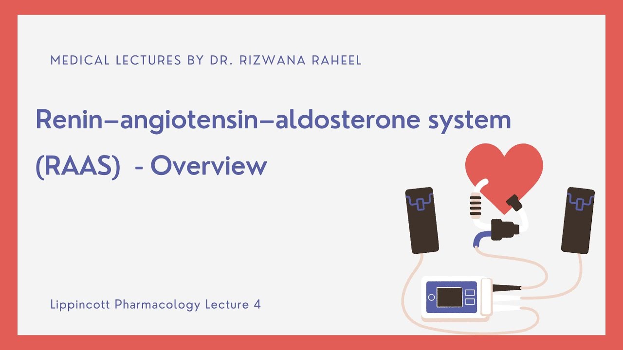 Renin–angiotensin–aldosterone system (RAAS) | Overview | Lippincott ...