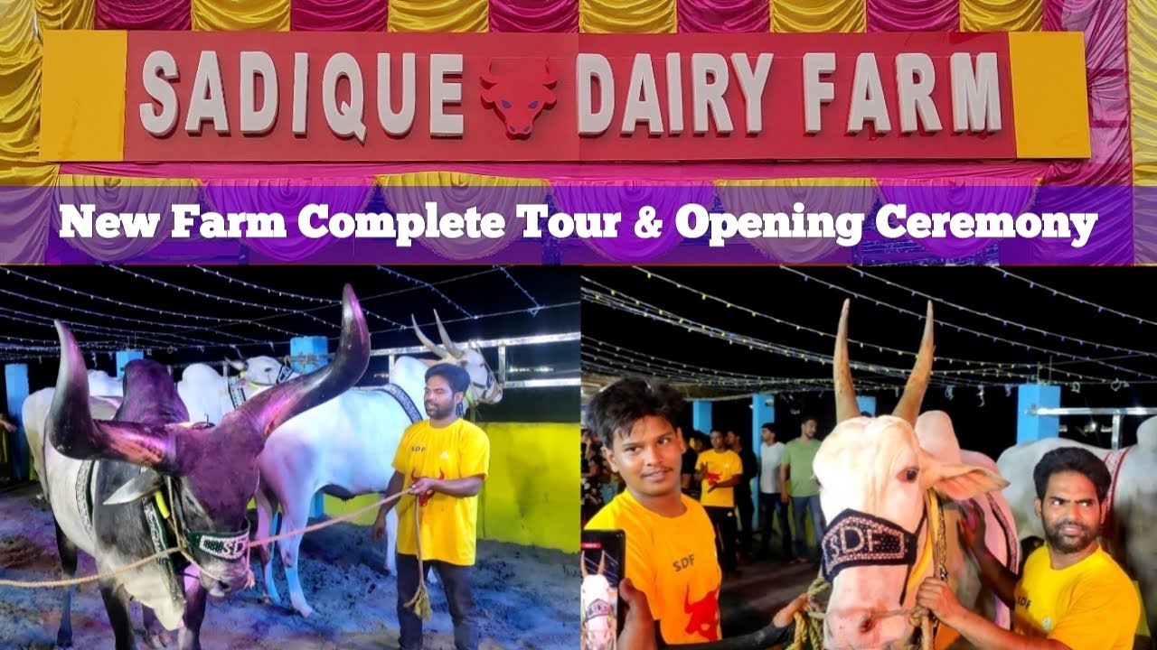 Sadique Dairy Farm | New Farm Tour | Opening Ceremony 2024 | Live Sold ...