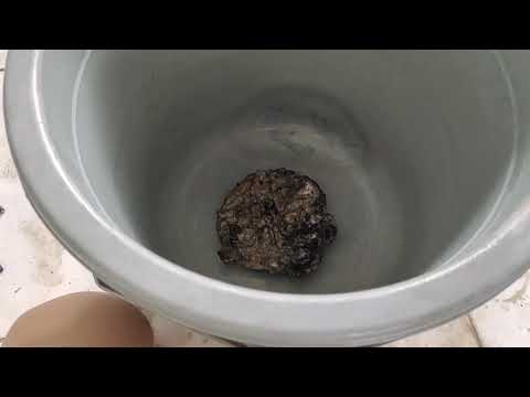 belajar cara cukim logam kotor