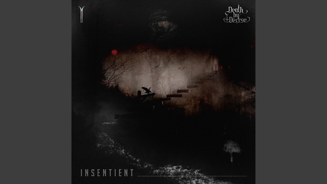 Insentient - YouTube