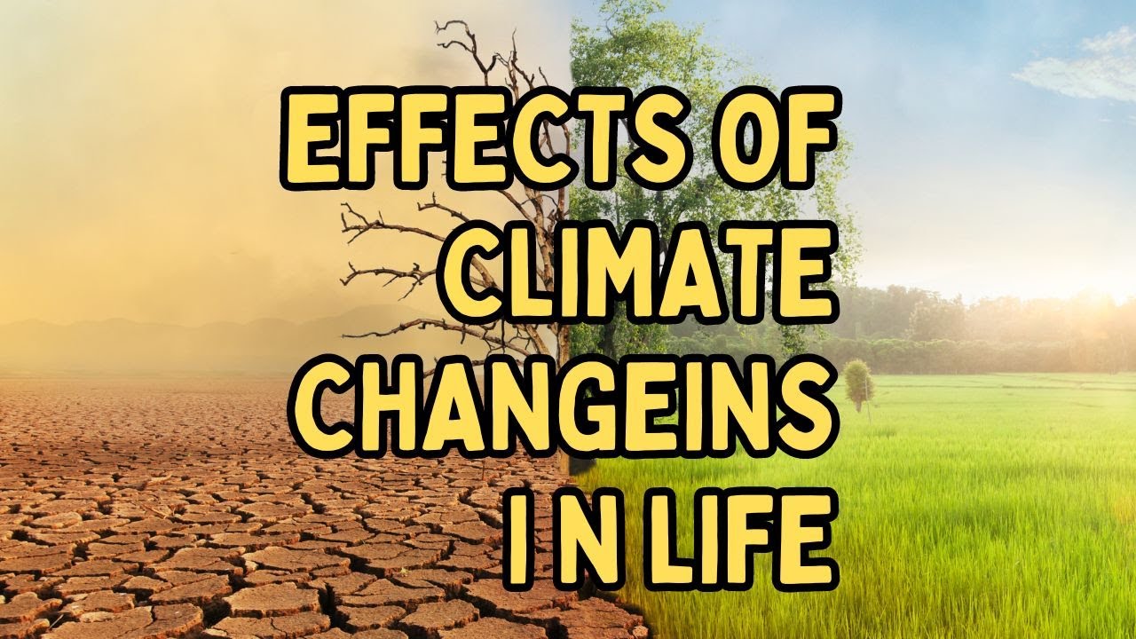 Effect & Causes Of Climate Change _ Explaining In Simple Way Climate ...
