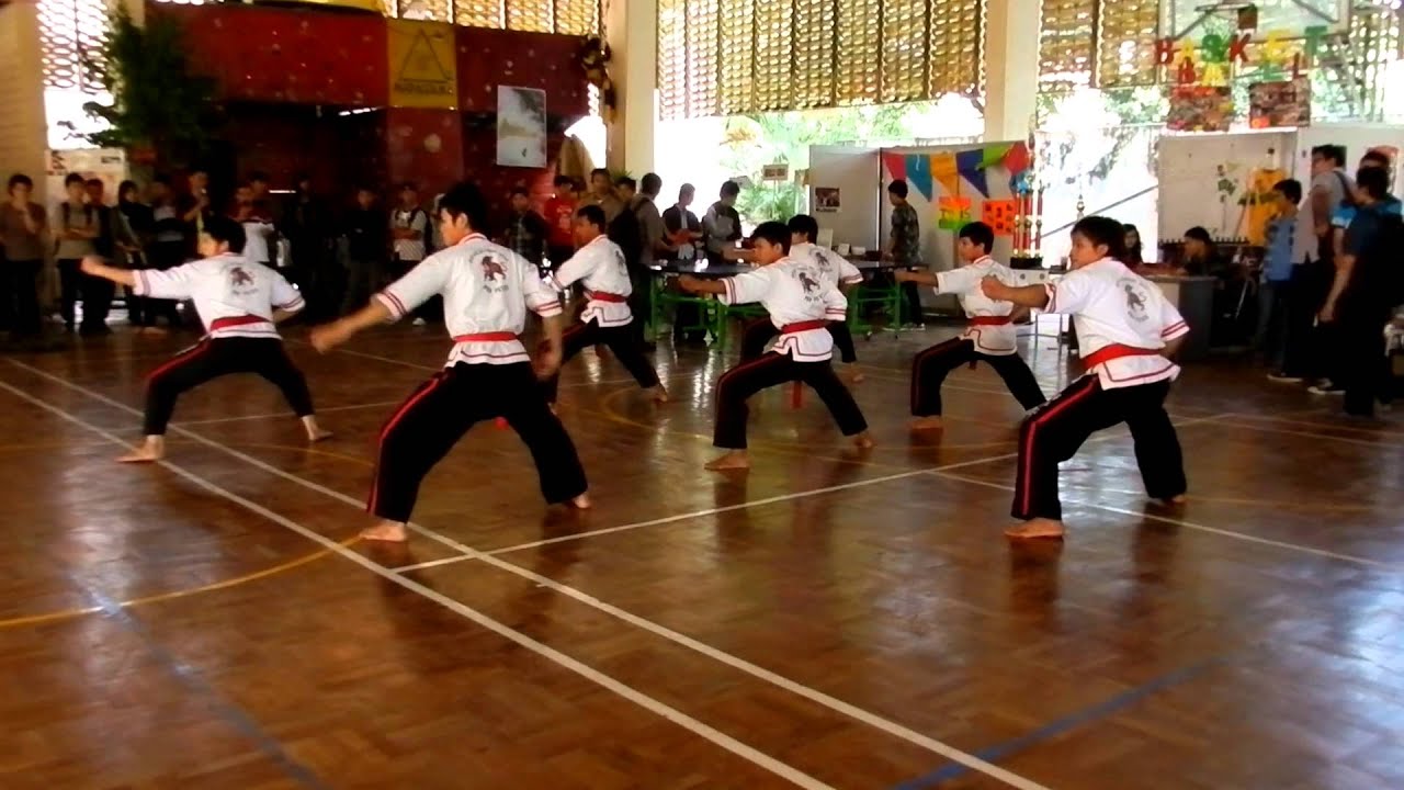 Demo IKS Pro Patria unit UGM jurus Cang Jien.MOV - YouTube
