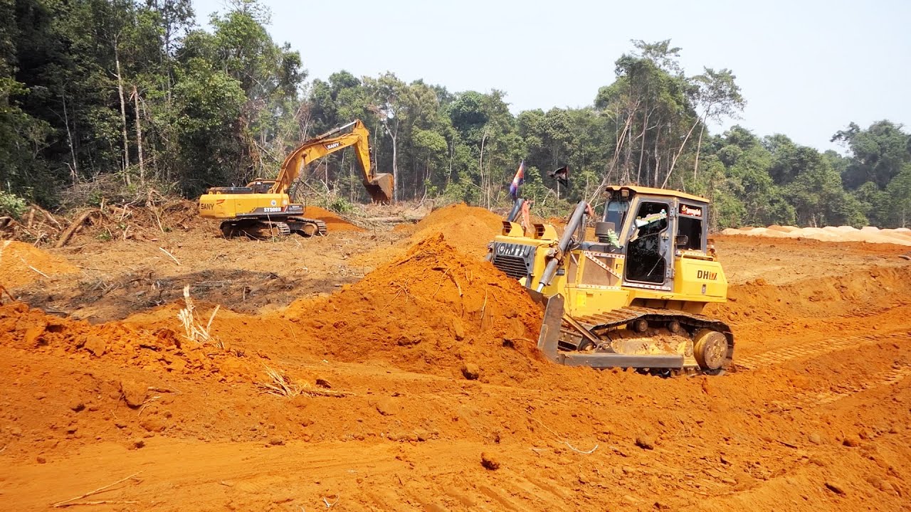 Part1# Shantui dozer & Sany excavator forest clearing aimed at ...