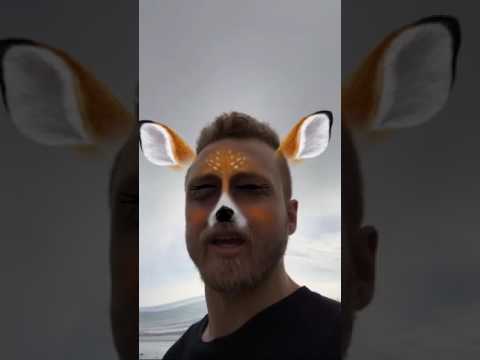 Pratt Spencer Snapchat Story // November 15th 2016