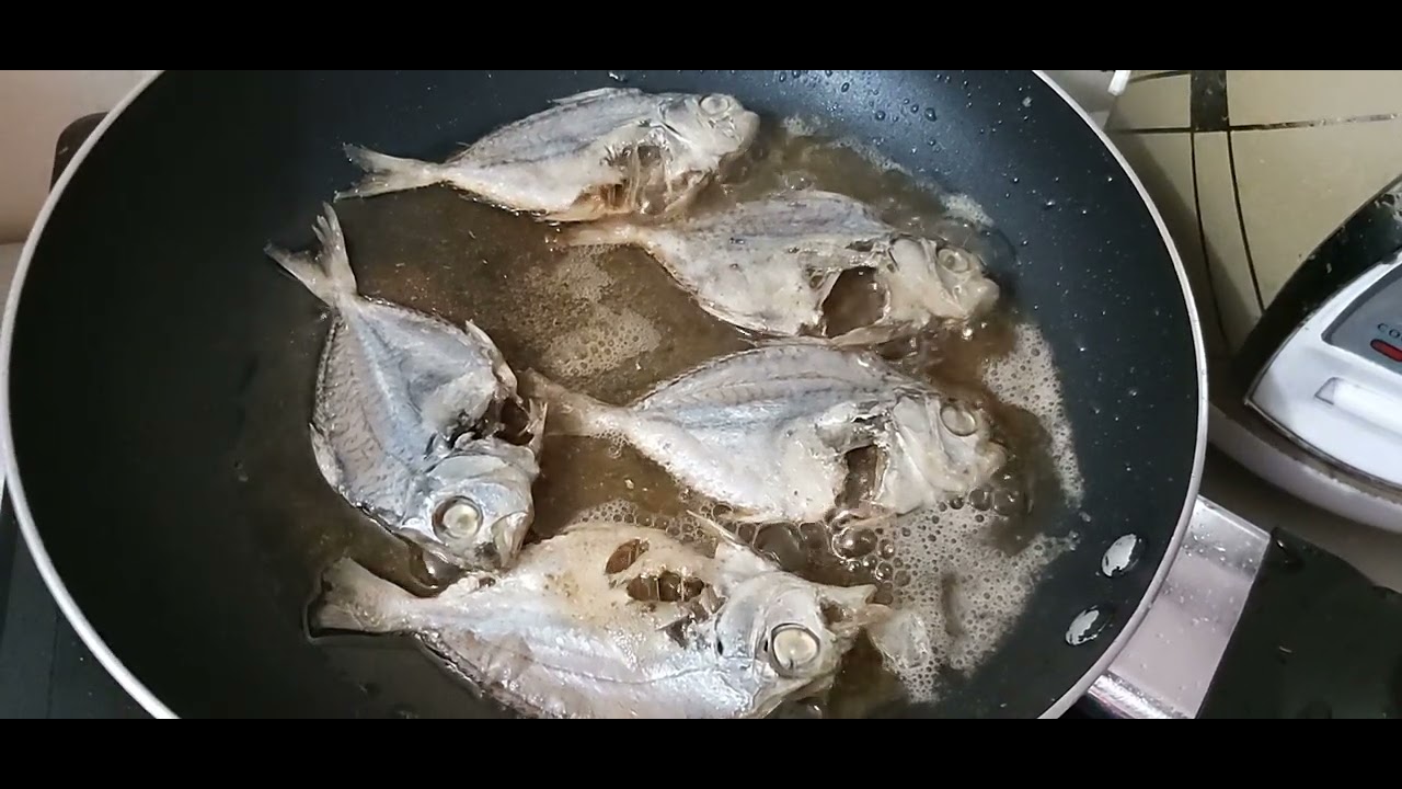 fish fellet d' el niño - YouTube