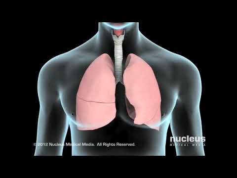 Intubation and mechanical ventilation - YouTube