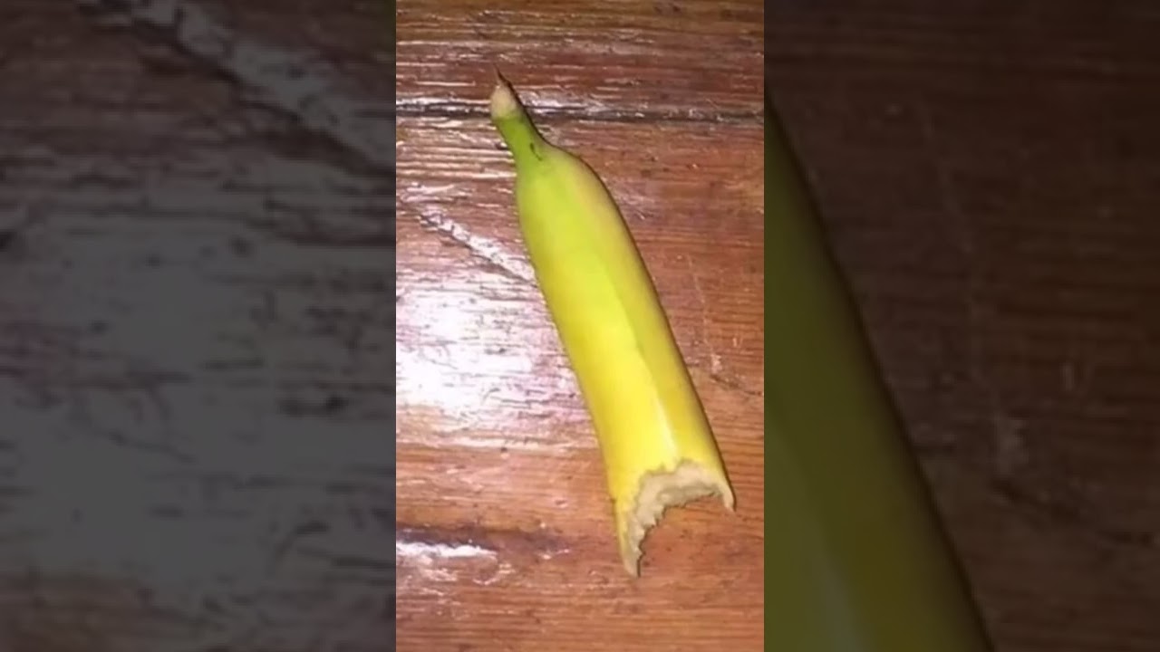 arrghhhh 40 ninety la babaji - YouTube