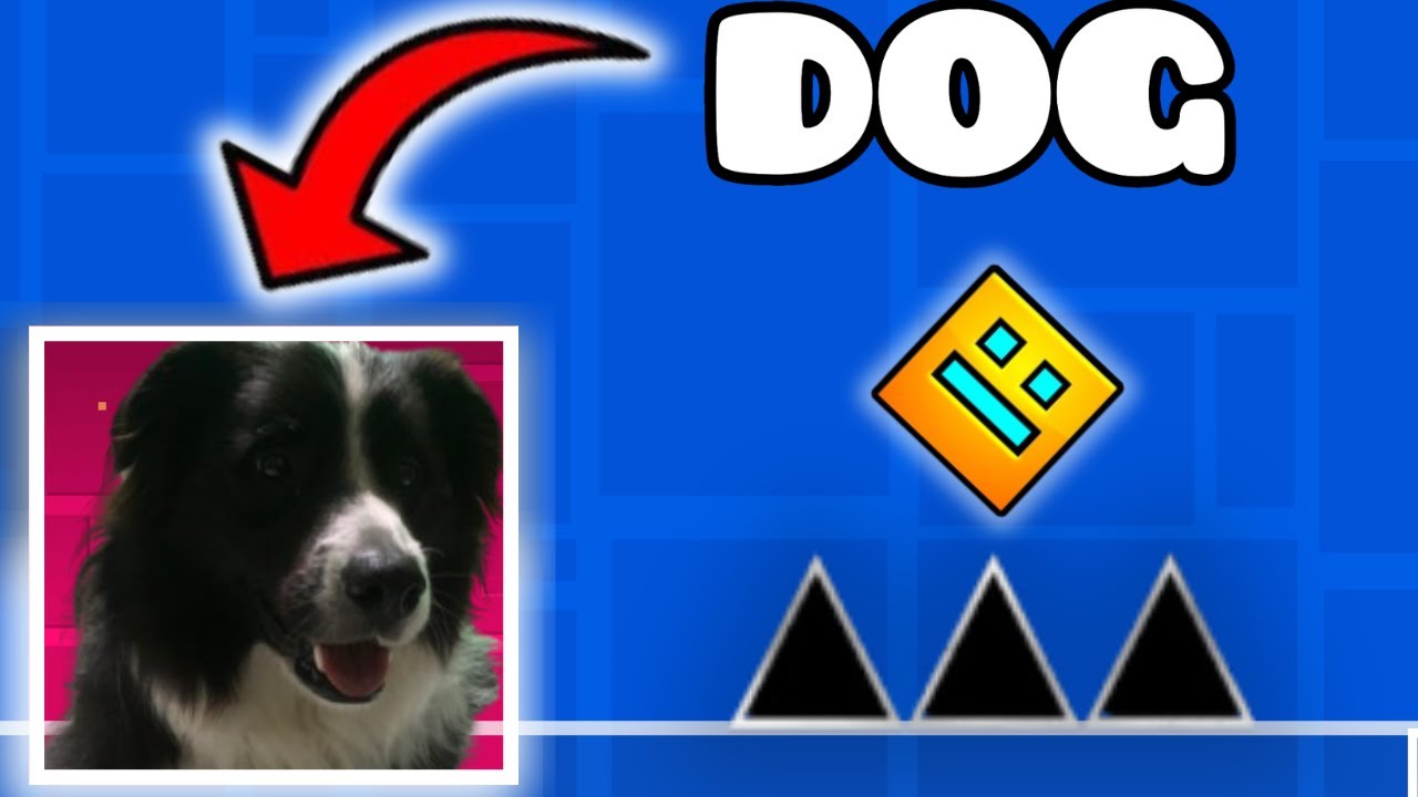 Teaching my DOG how to play GEOMETRY DASH - YouTube