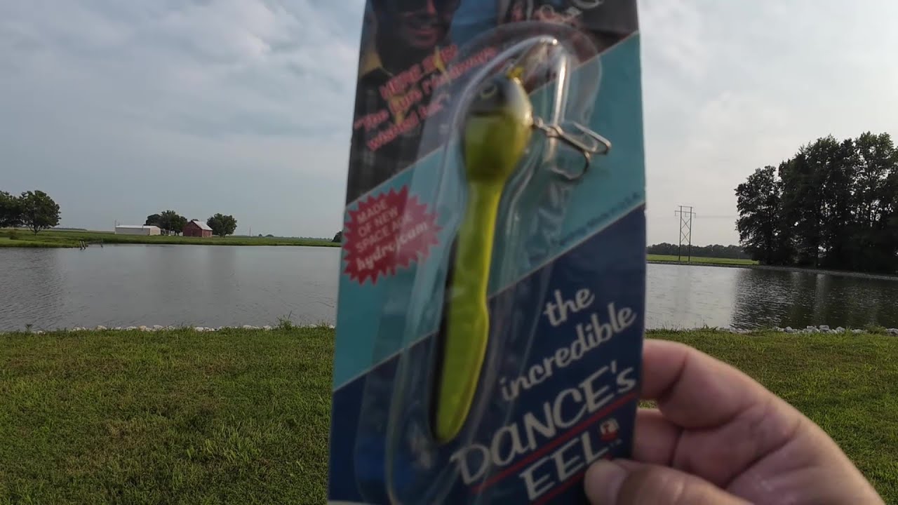 I Went Fishing With Bill Dance: Dance's Eel SURPRISE CATCH!!! - YouTube