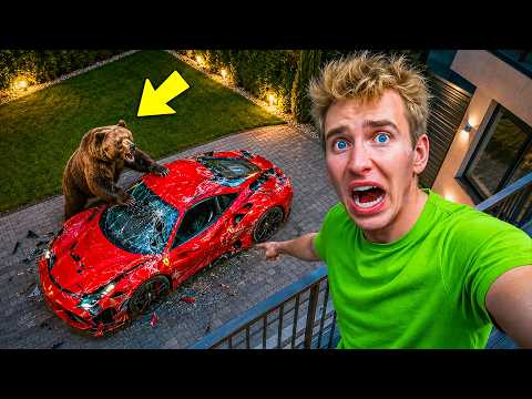 WILD ANIMALS are DESTROYING all my SUPERCARS...