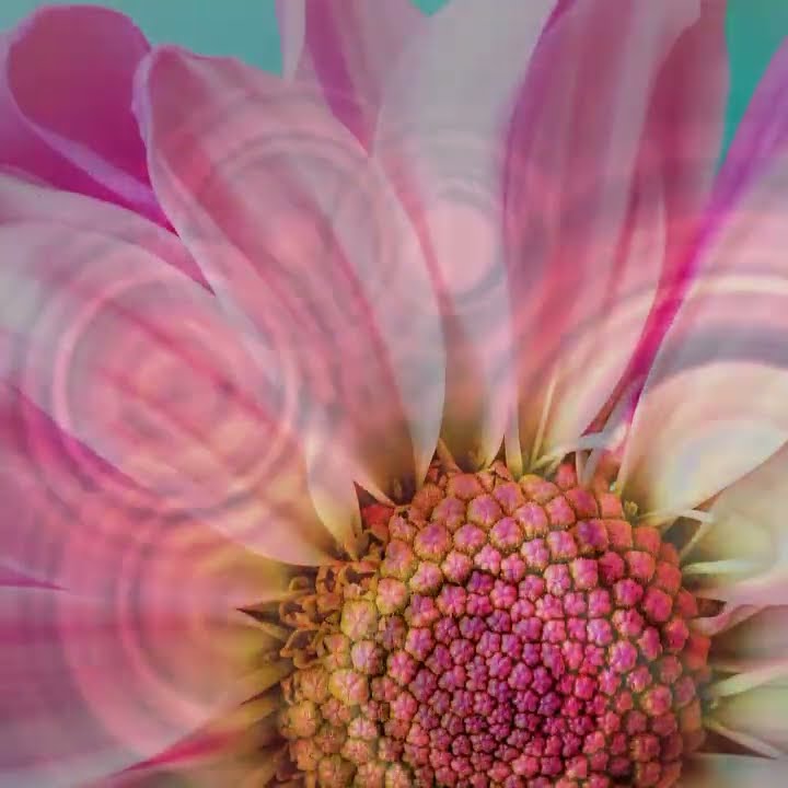 Uploading so I can delete from my phone to make room for a bunch more ...