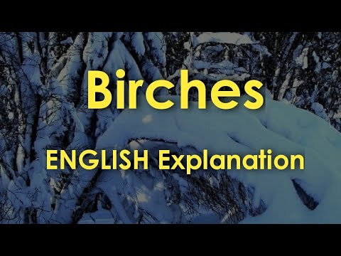 ISC English | Birches | ENGLISH Explanation | Robert Frost | Word ...