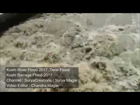 Koshi Barrage Flood 2017 | Flood In Terai Region Nepal | Koshi River Flood 2017