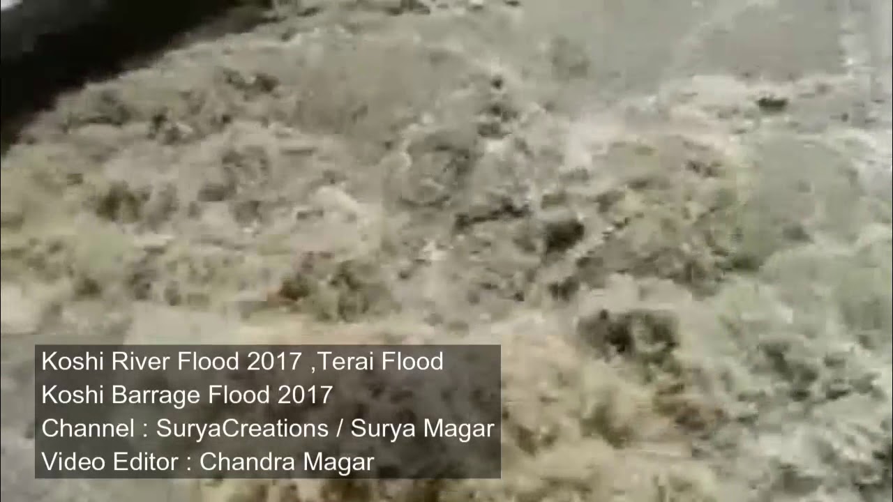Koshi Barrage Flood 2017 | Flood In Terai Region Nepal | Koshi River ...