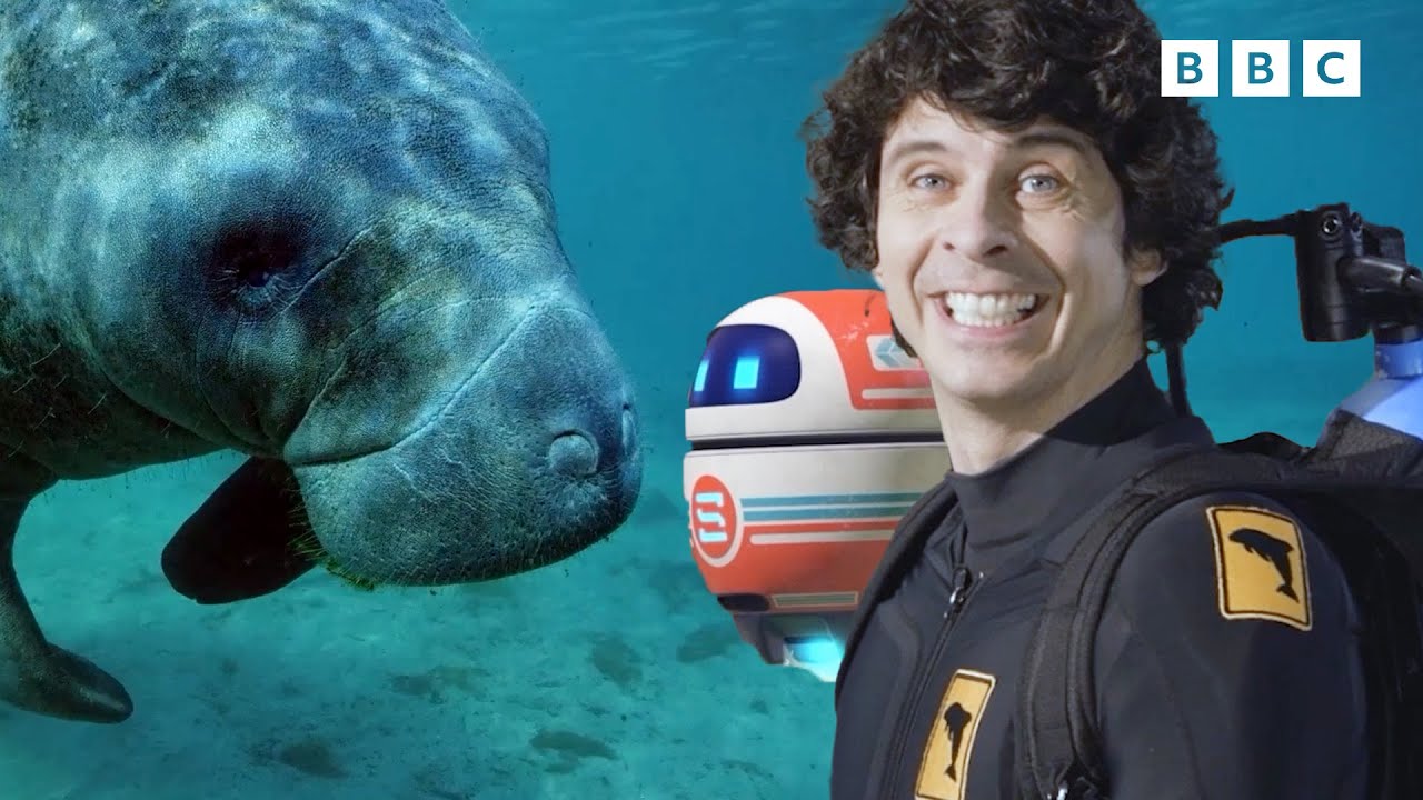 Andy and the Manatees | Andy's Global Adventures | Andy's Amazing ...