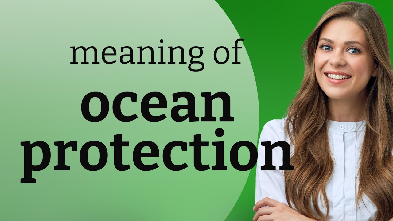 Ocean Protection: Essential Steps to a Healthier Planet - YouTube