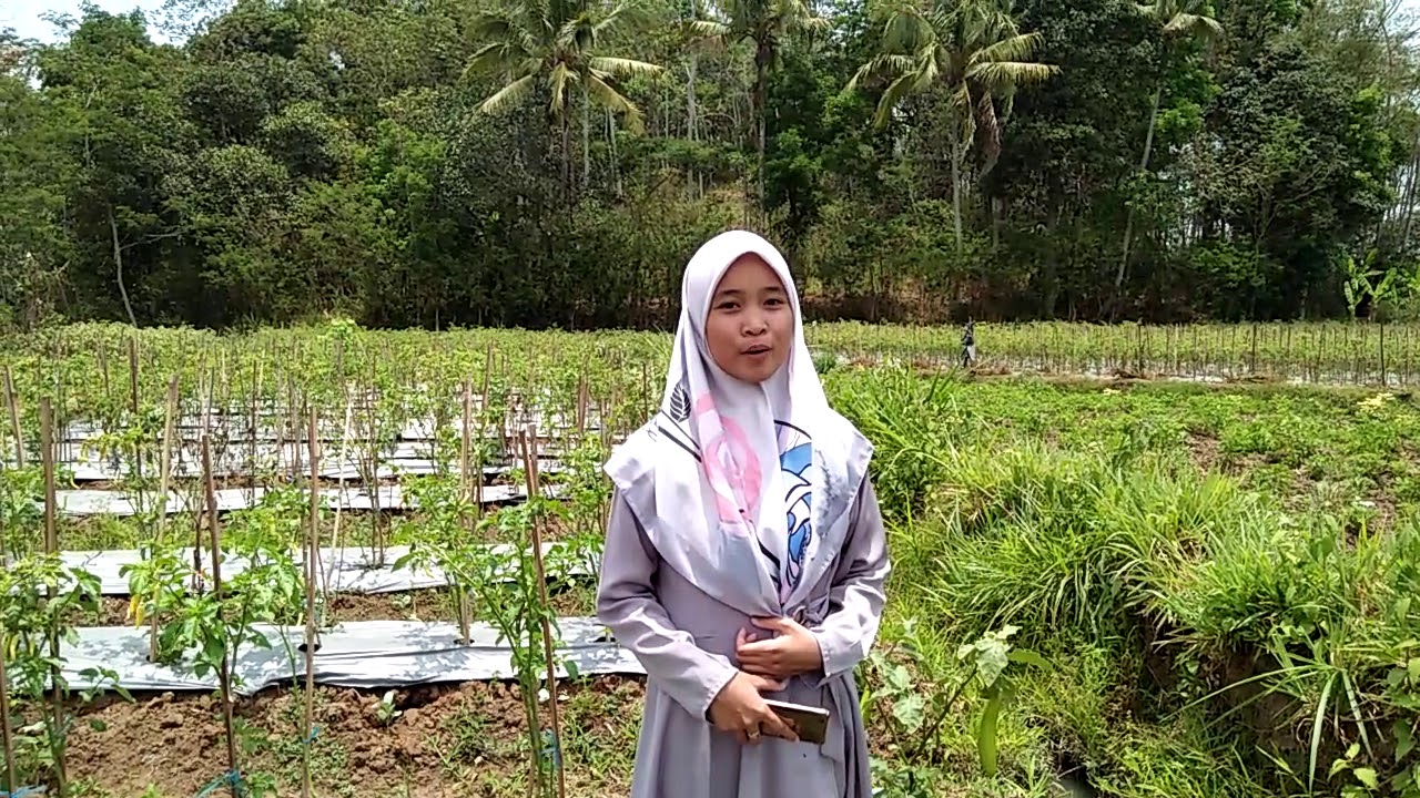 Wahyu Ida Safiraa-Sejarah Didesa Candimulyo - YouTube