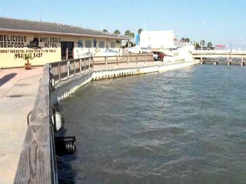 Pelican Station by Dirty Als in Port Isabel, Texas by Inertia Tours for ...