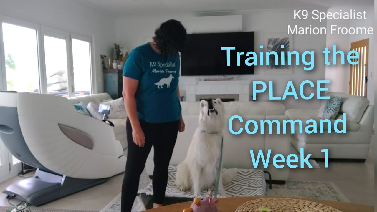 Training the PLACE command week 1 - YouTube