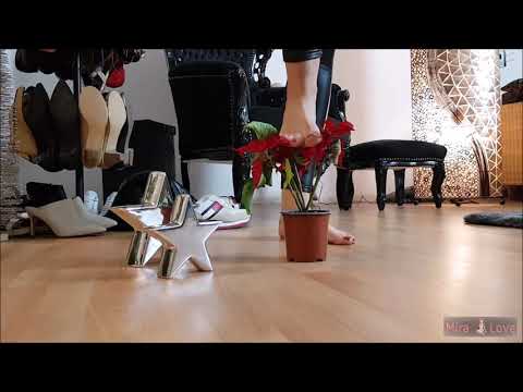 Flower Crushing Clip
