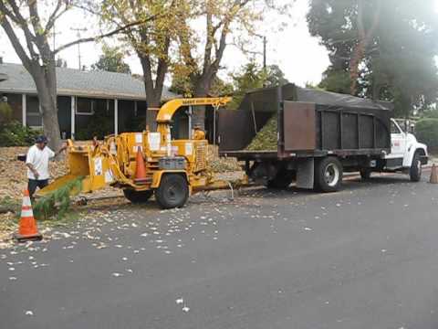 Valero Brothers Tree Care bandit chipper - YouTube