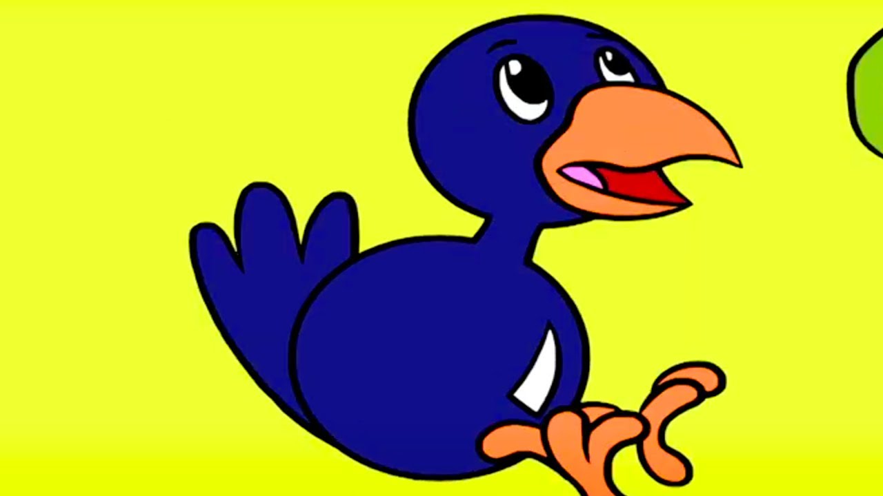 Crow shocked by leek | St Davids Day | Let's Go Camping Sali Mali ...