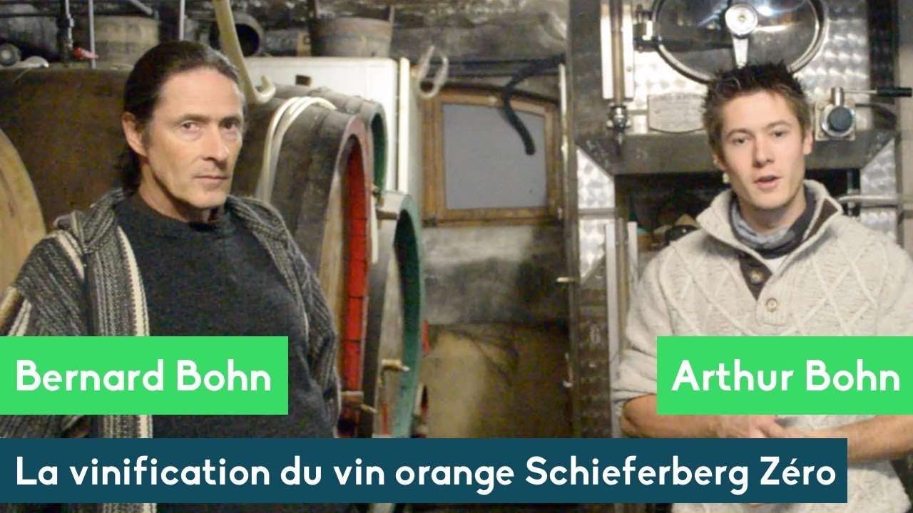 Domaine Bohn - La vinification du Schieferberg Zéro - Vin de macération ...