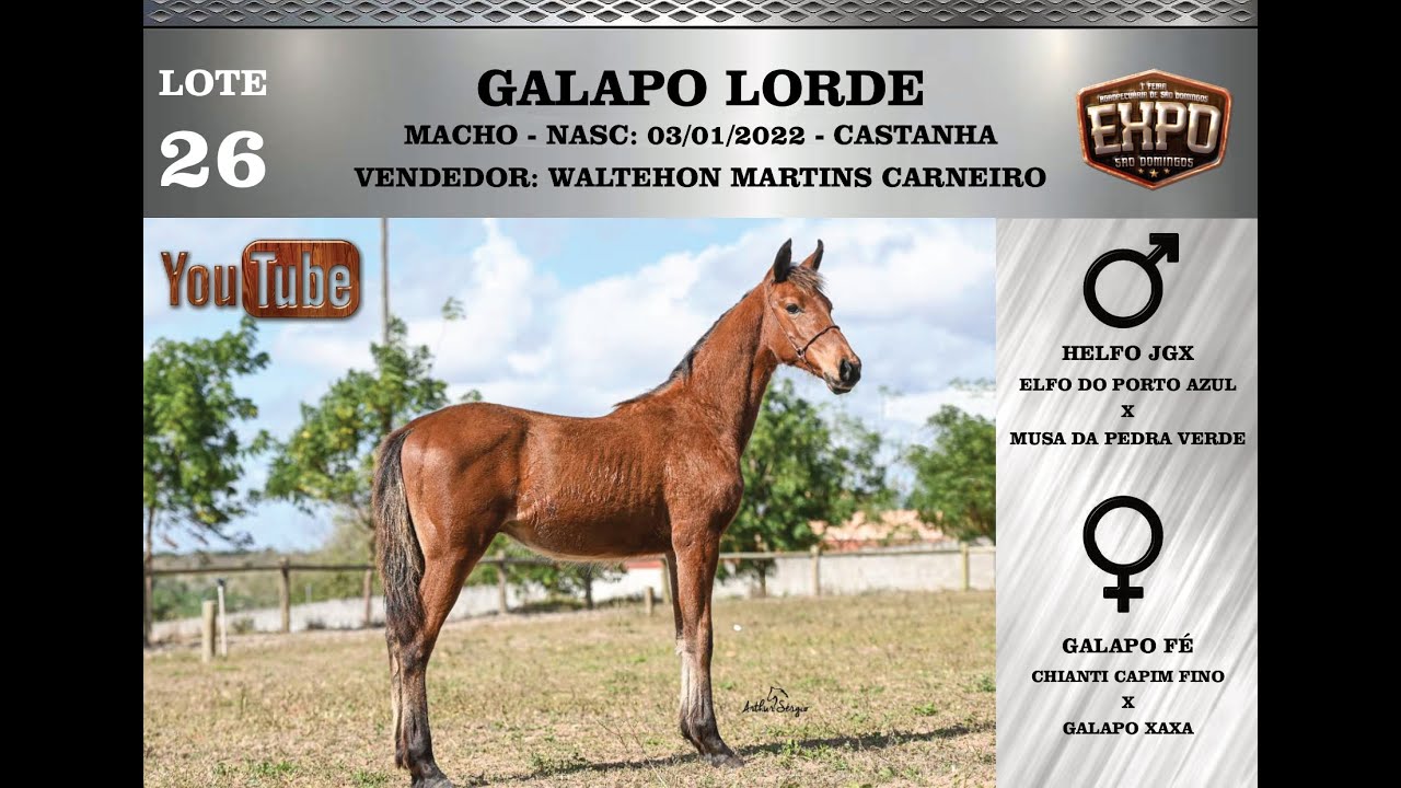 LOTE 26 Galapo Lord - YouTube