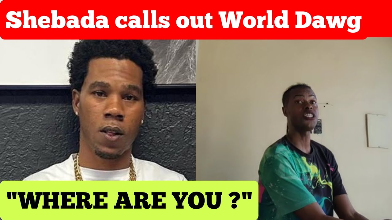Shebada awaites World Dawg's RETURN to TikT0k | Dis Hatt 🔥 - YouTube
