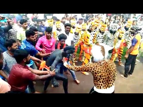 Pili vesha | tiger dance | veera maruthi garadimajal | chowthi | malpe ...