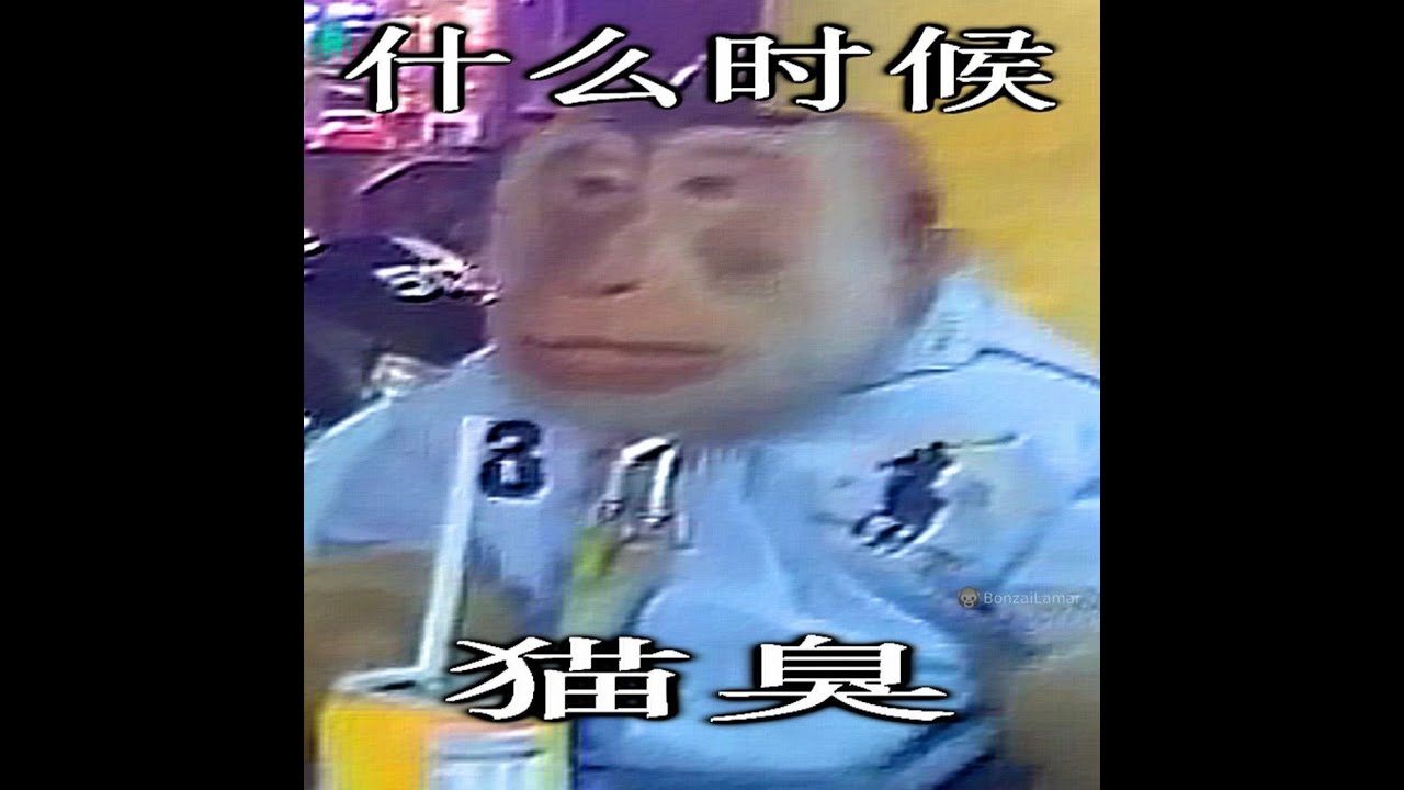 Monkey Meme Compilation Vol. 1 - YouTube