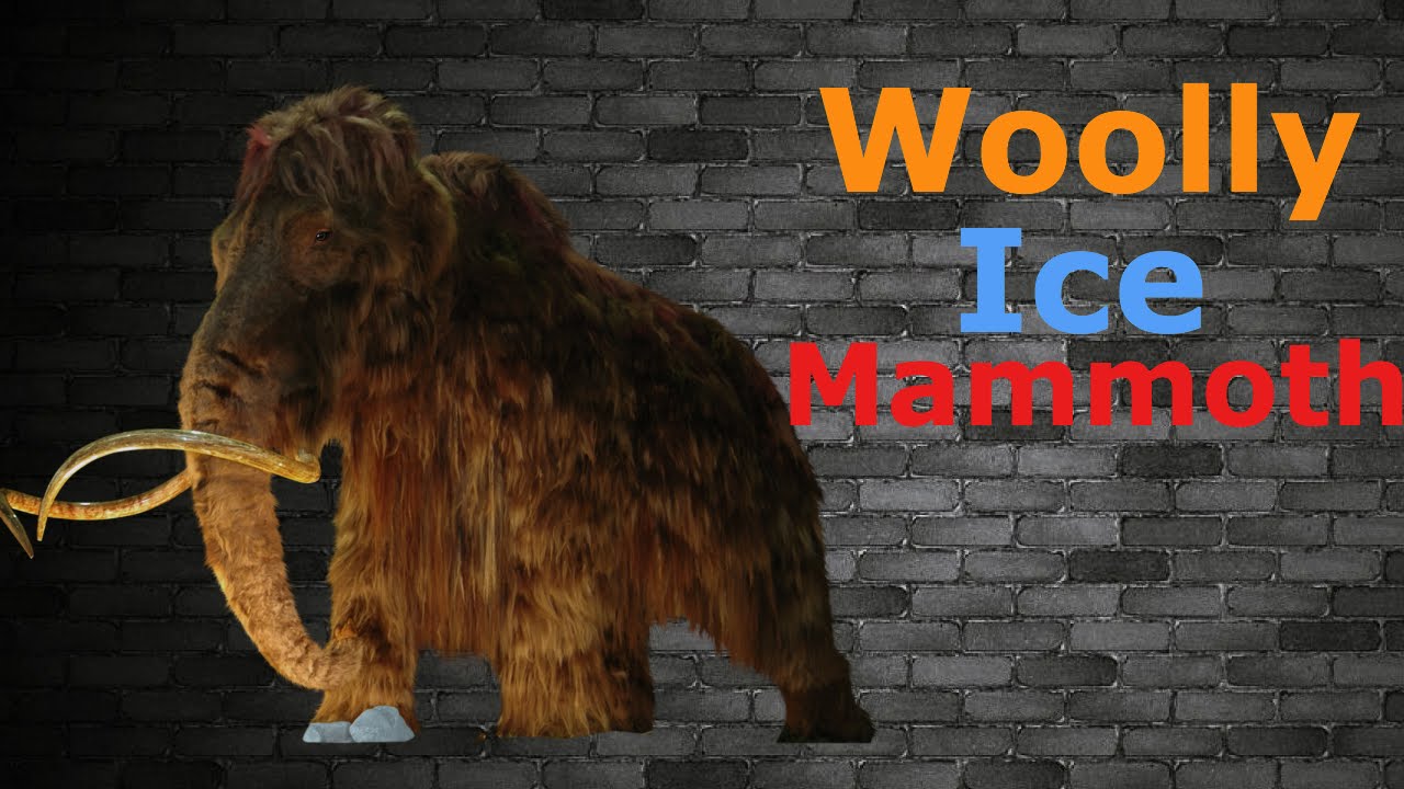 Wizard101: Woolly Ice Mammoth Quest (lvl 68 spell) - YouTube