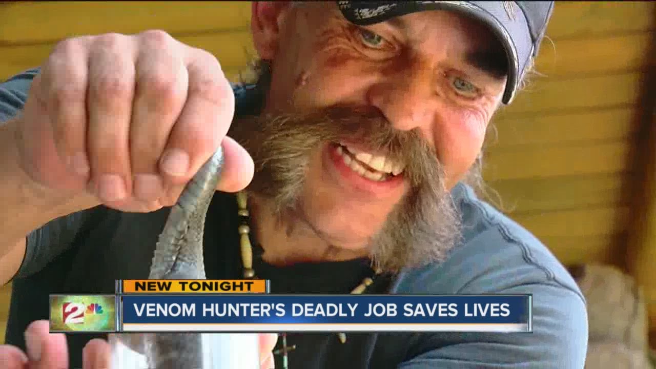 Venom Hunter's Deadly Job Saves Lives - YouTube