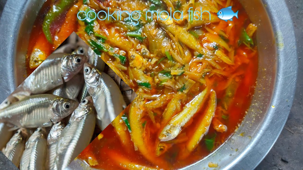 Road side cooking mola fish #streetfood - YouTube