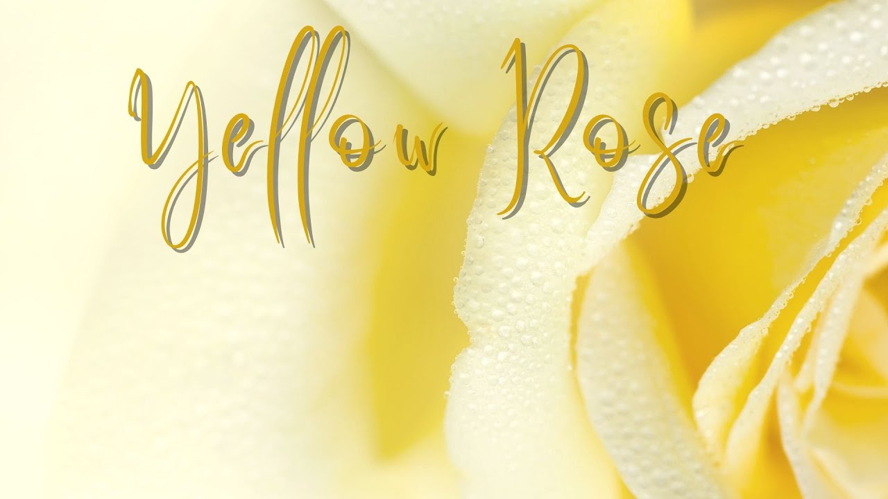 Yellow Rose :: Song Video :: James Paul Moravec - YouTube