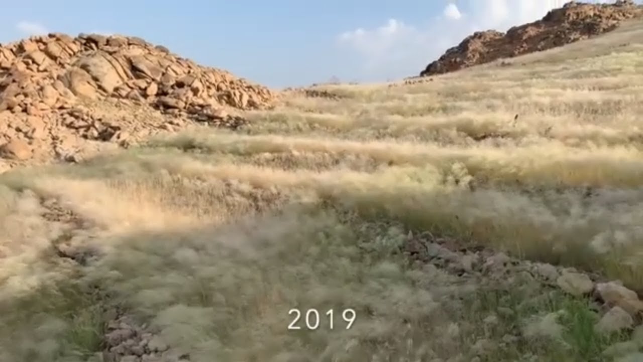 Une agriculture régénérative dans le désert Saoudien : L’Histoire d’Al ...