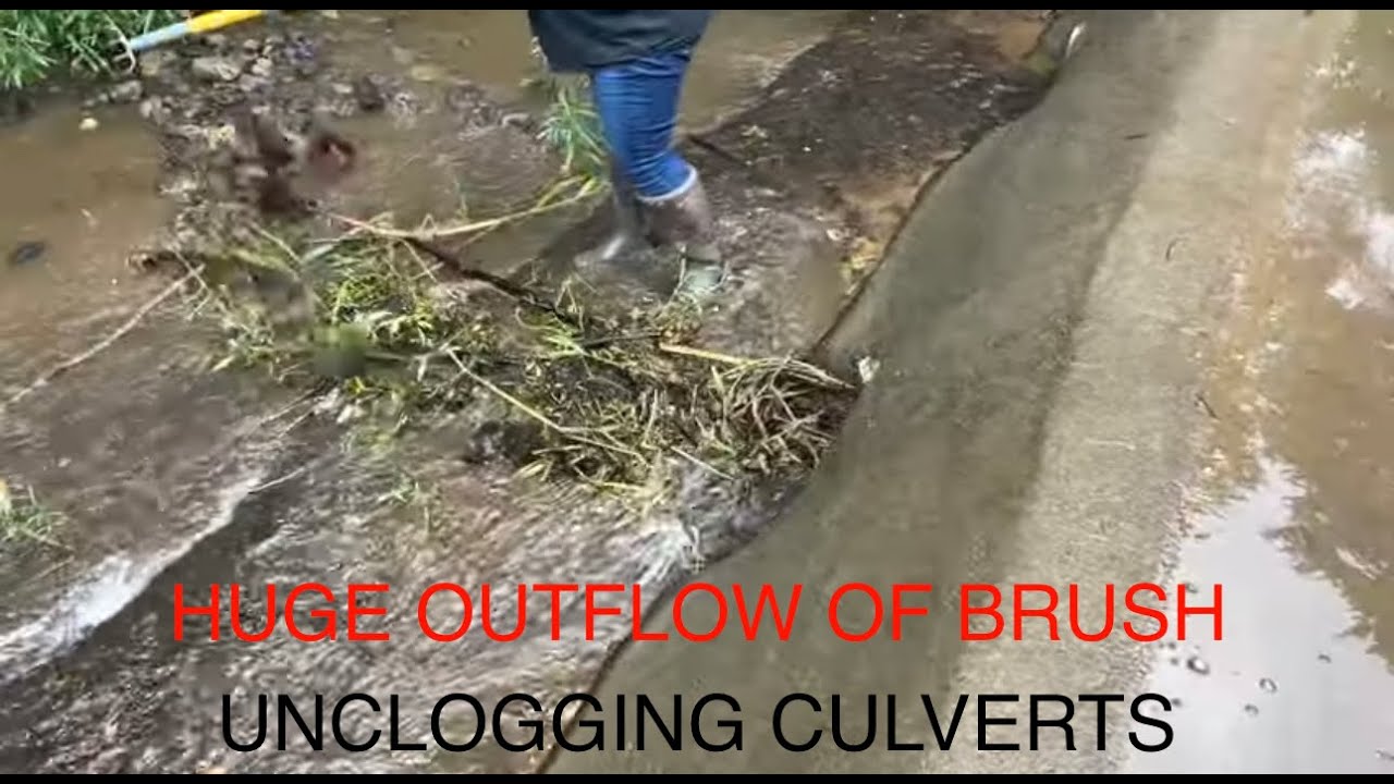 unclogging culverts/beaver dam breakup/massive outflow 6/12/23 - YouTube