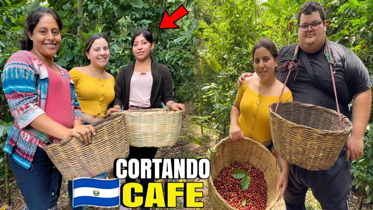 Asi Es La VIDA De Los CORTADORES De Cafe En El CAMPO *Cortando Cafe Con ...