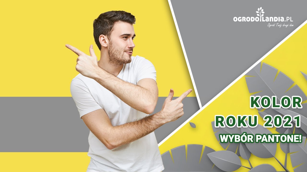 Kolor roku 2021 - wybór Pantone! - YouTube